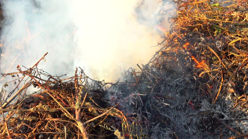 Air Pollution by Burning Garbage at Dump Site. Drone Footage of Burning ...