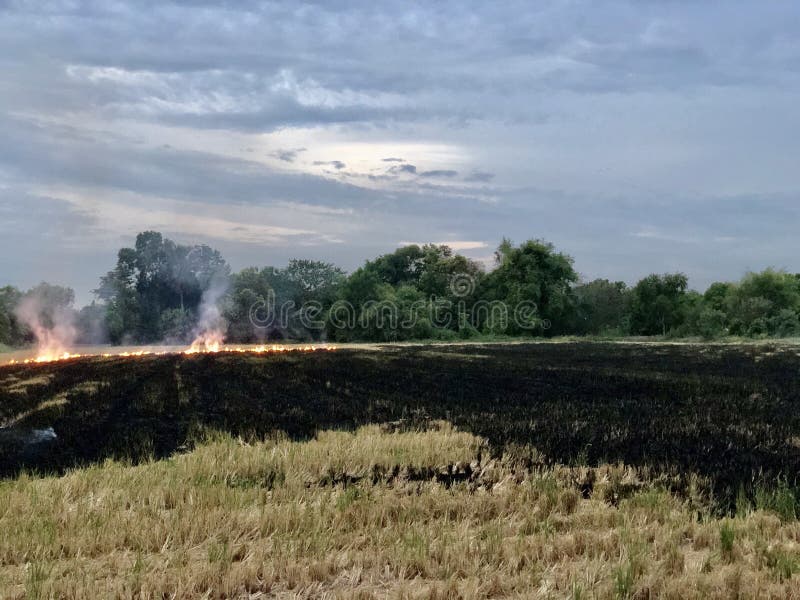 Air pollution stock photo. Image of burning, fields - 179638754