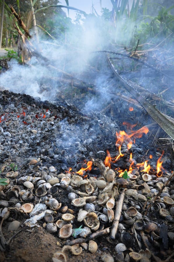 Air Pollution - Environmental Damage Stock Image - Image of ...