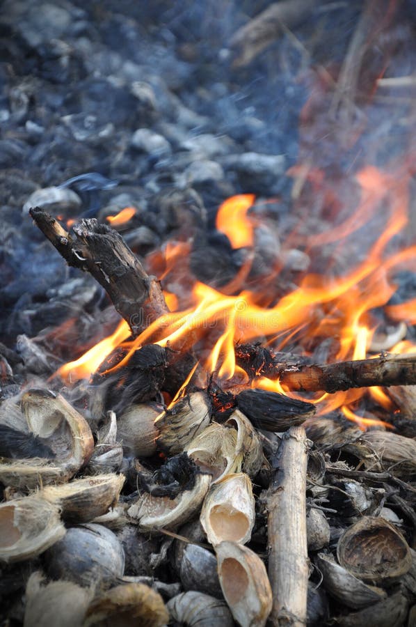 Air Pollution - Environmental Damage Stock Image - Image of global ...