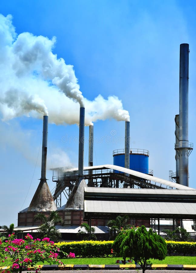 Palm Oil Mill stock image. Image of environment, sustainable - 18229905