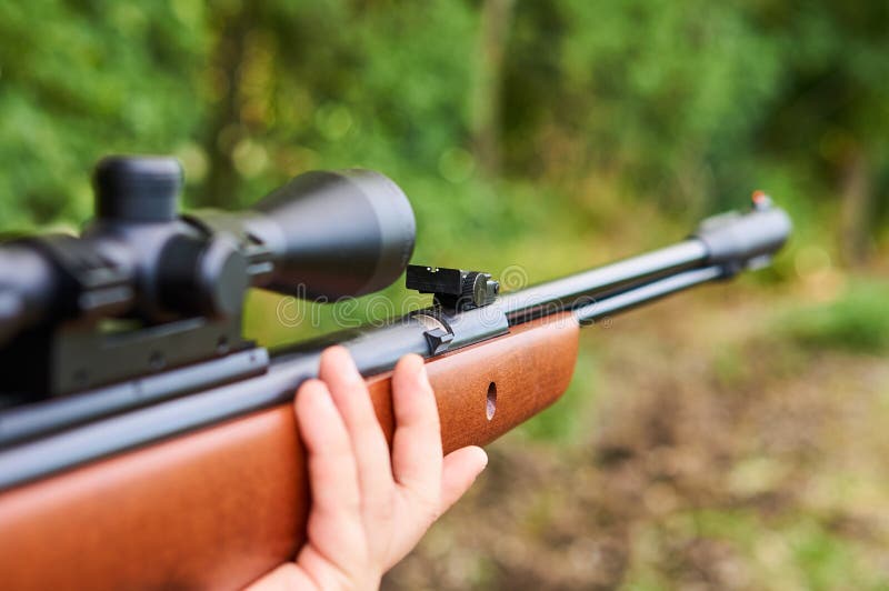 Air rifle stock image. Image of military, blooming, spring - 71506987