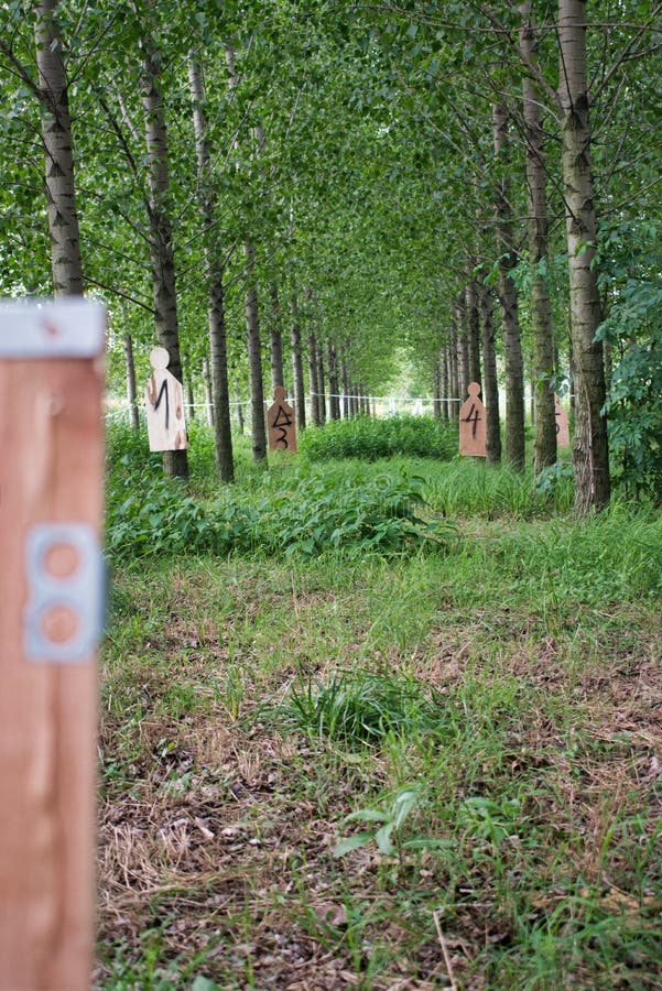 Target Practice stock photo. Image of grass, numbered - 140574486