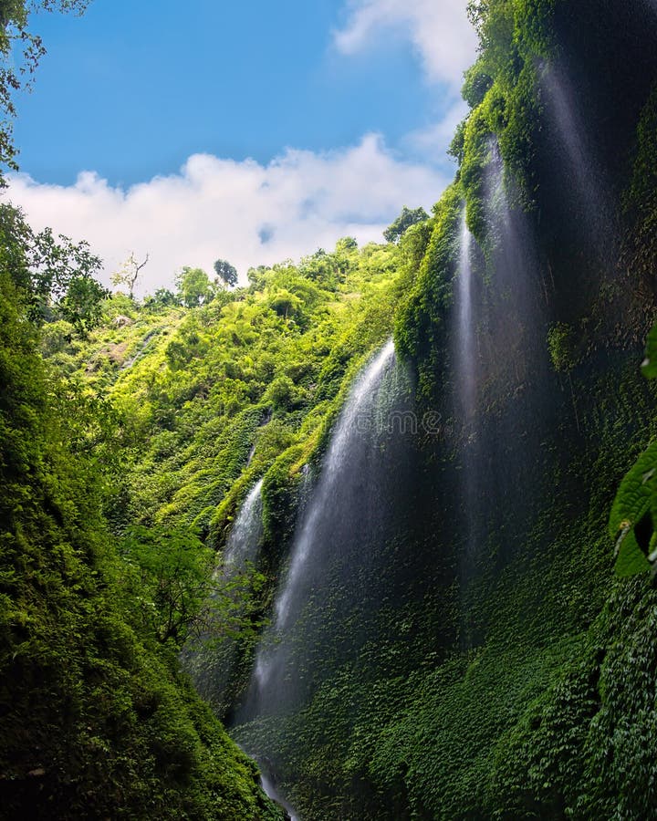 Air Terjun Madakaripura Cascade De Probollingo Est Java Image stock - Image du forêt, roche ...