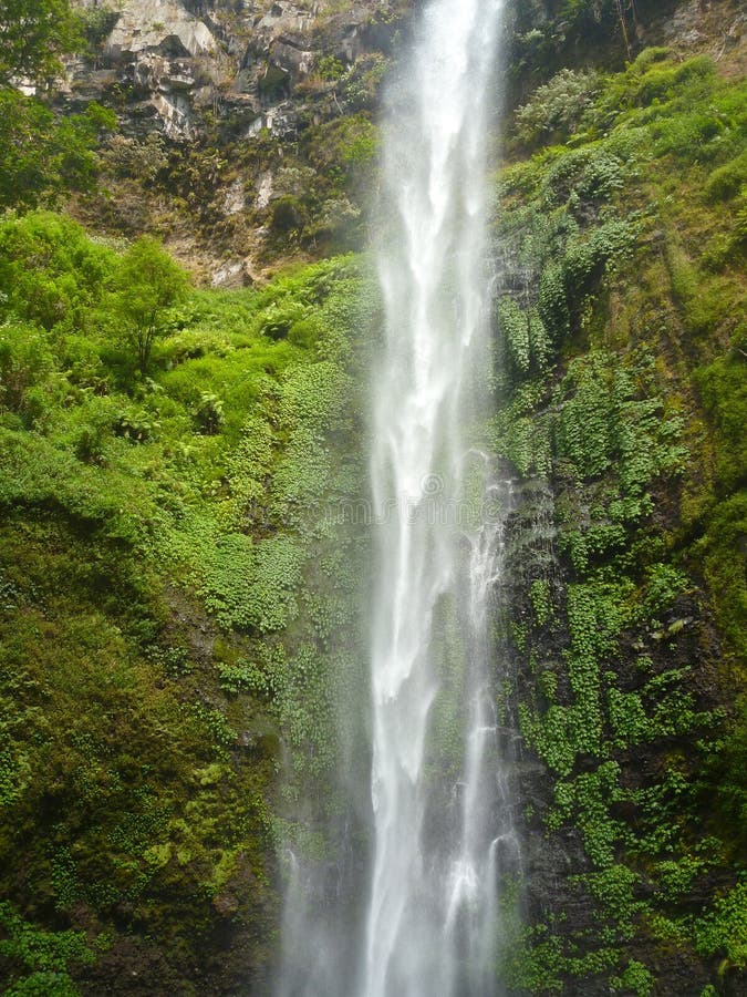 Air terjun, waterfall stock photo. Image of rock, stream - 350179916