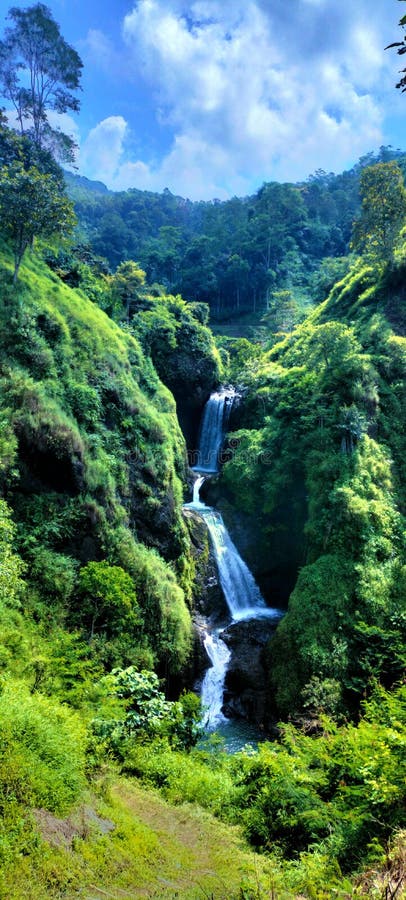 Air terjun stock image. Image of forest, tree, water - 262409335