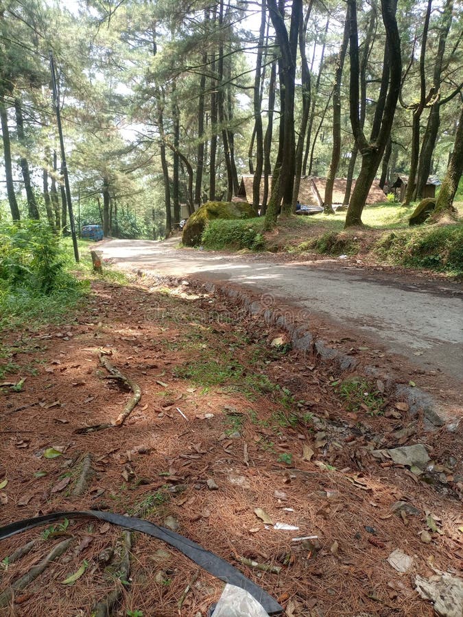 The air is very cool stock photo. Image of wilderness - 294660022