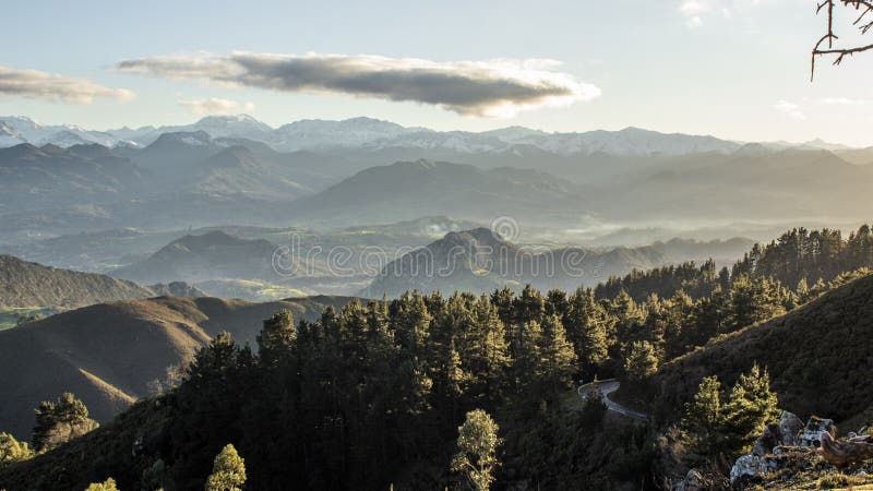 Air View of a Forest with a Road Stock Photo - Image of aerial, drone ...