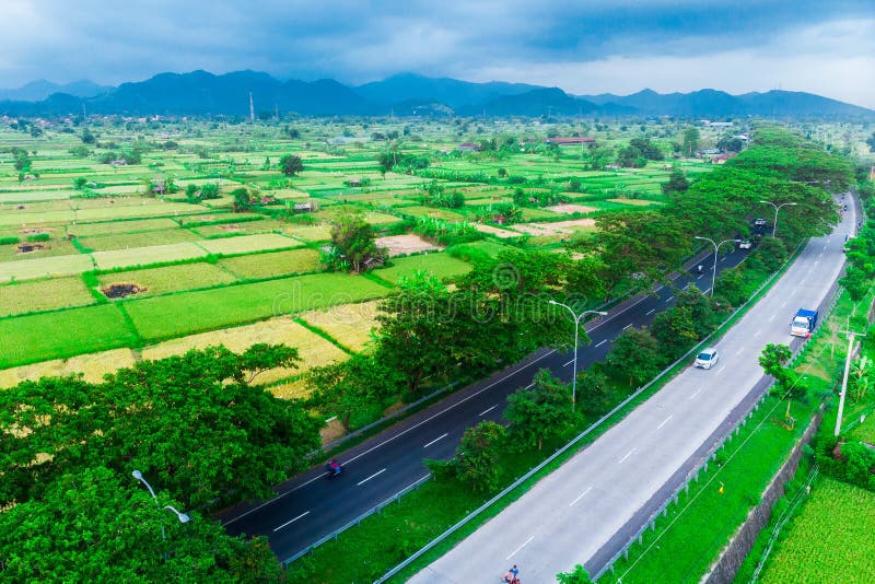 Air View of Green Fields Green Rice and Corn Fields in Amed, Bali ...