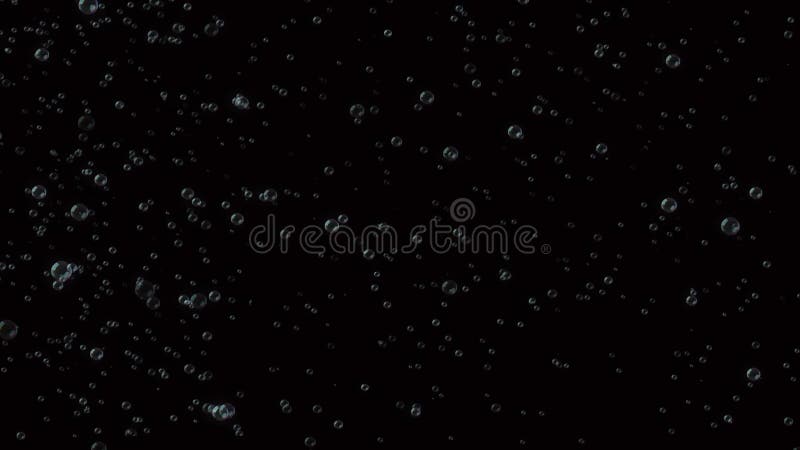 Transparent Bubbles are Quickly Moving and Floating Up on Black ...