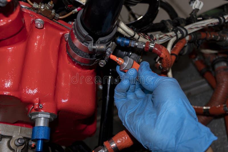 Torque Stripe Stock Photos - Free & Royalty-Free Stock Photos from ...