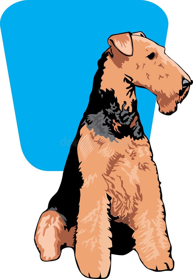 Airedale Terrier stock illustration. Illustration of terrier - 18923610