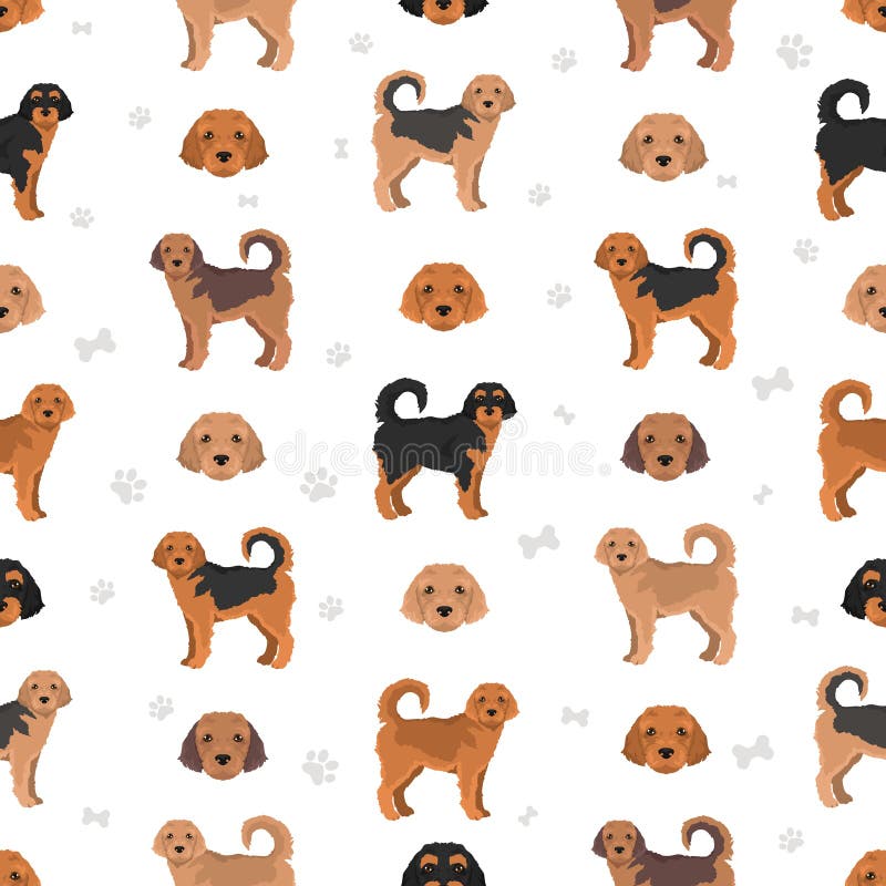 Airedale Terrier Poodle Seamless Pattern. Airedoodle Clipart Stock ...