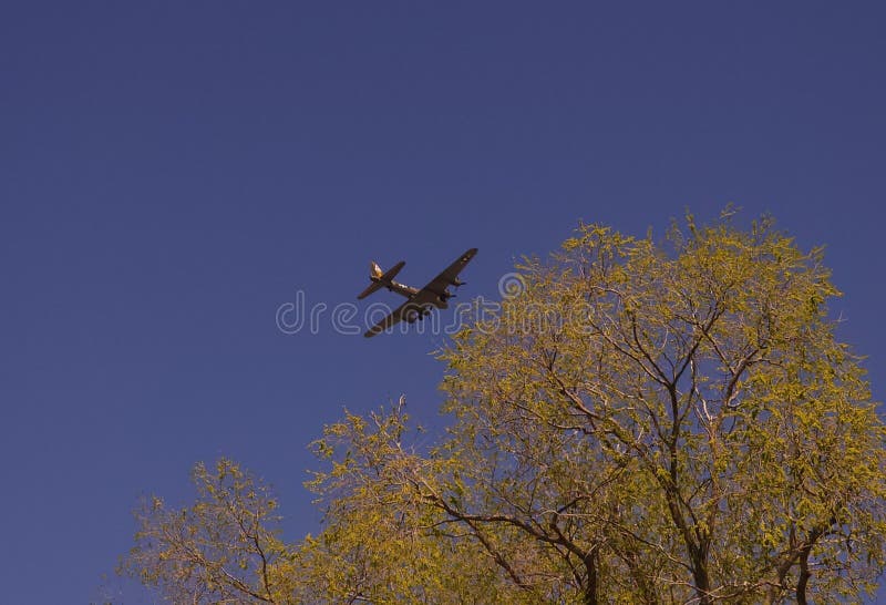 Airplane above the trees stock image. Image of airplane - 277863269