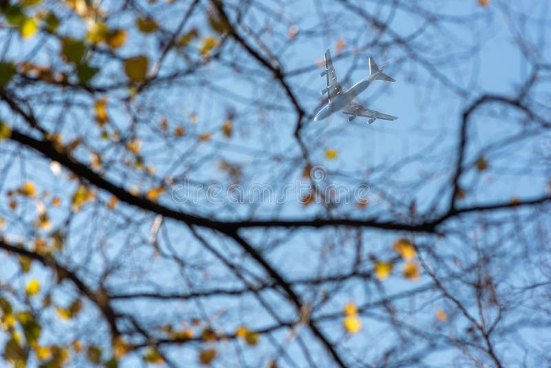 Airplane through Autumn Branches Stock Image - Image of autumn, park ...