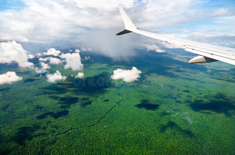 Airplane Flying Above the Amazon Rainforest of Guyana Stock Photo ...