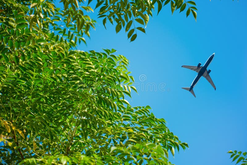 Airplane over forest stock image. Image of flying, forests - 10986895