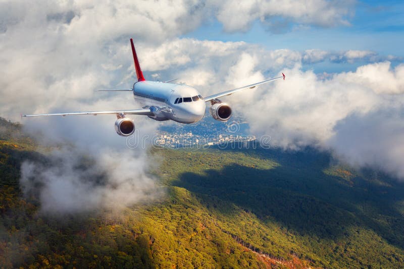 Airplane over forest stock image. Image of elevated, flying - 10986895