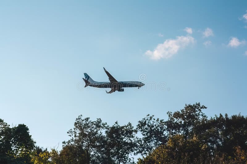Airplane Flying Over a Forest Treetops Stock Image - Image of plane ...