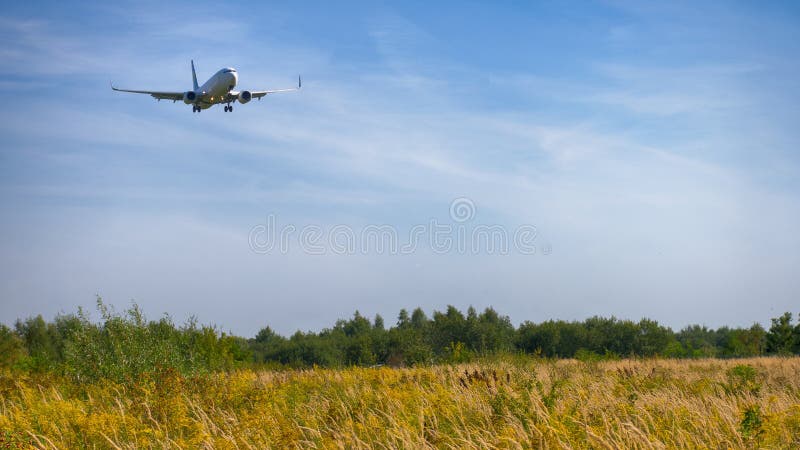 Airplane Landing on the Airport. Perfect View on the Airplane with ...