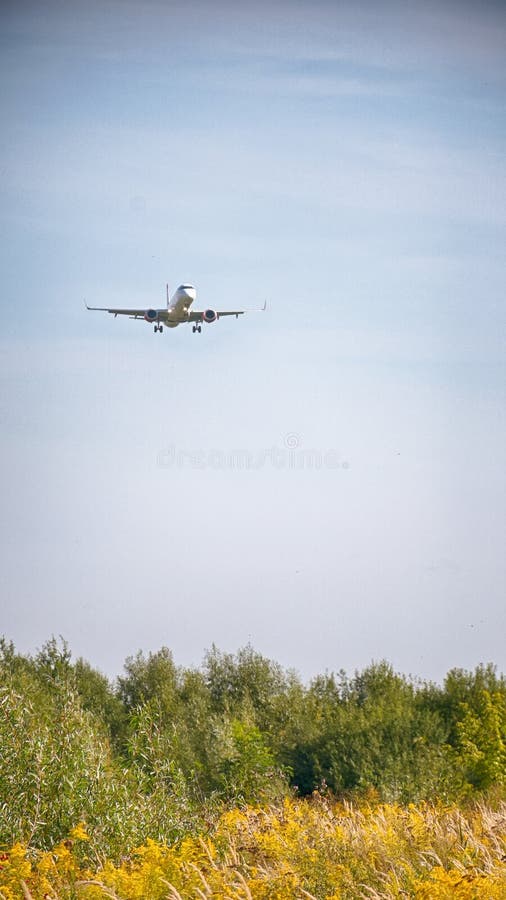 Airplane Landing on the Airport. Perfect View on the Airplane with ...