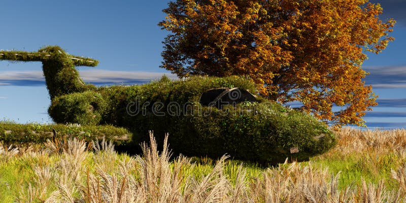 A Airplane Overgrown by Grass Stock Illustration - Illustration of ...