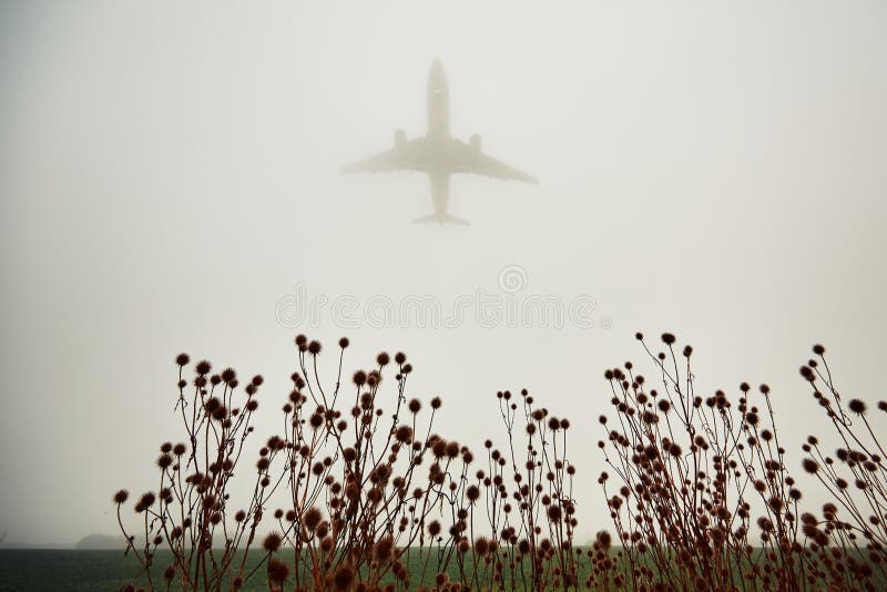 Airplane in thick fog stock photo. Image of landscape - 79010112