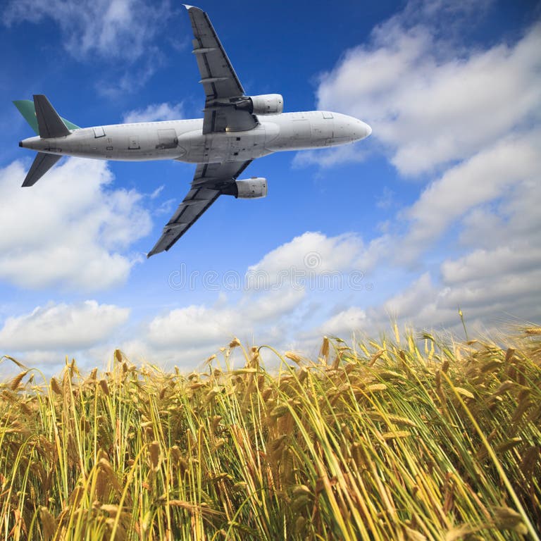 491 Airplane Corn Stock Photos - Free & Royalty-Free Stock Photos from ...