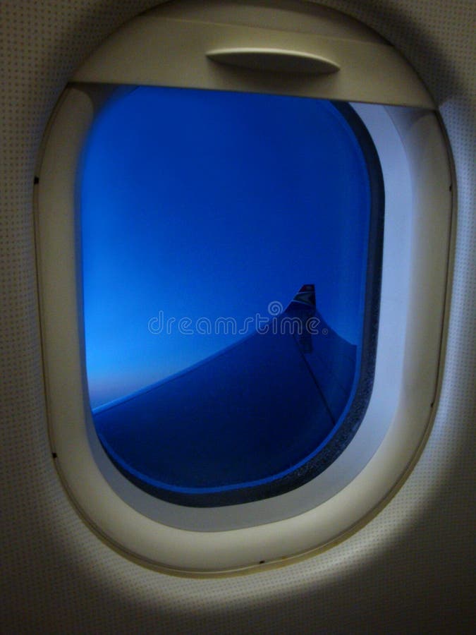 Giraffe Plane Window Photos - Free & Royalty-Free Stock Photos from ...
