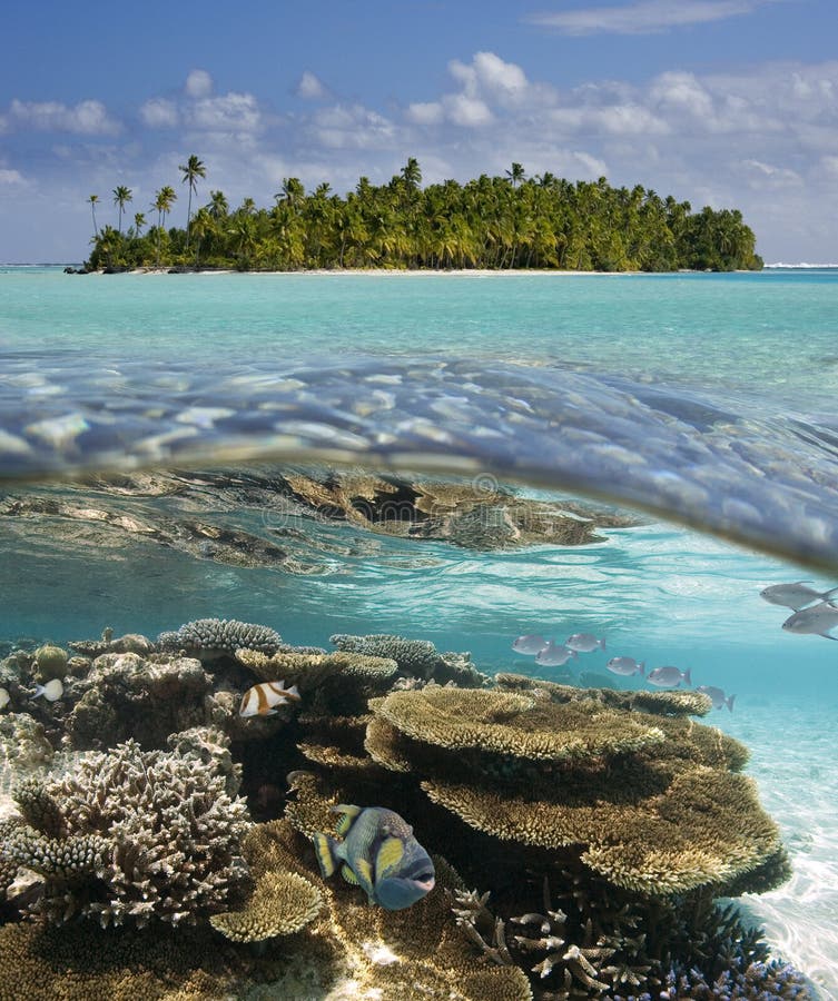 Aitutaki Lagoon - Cook Islands - South Pacific Stock Photo - Image of ...