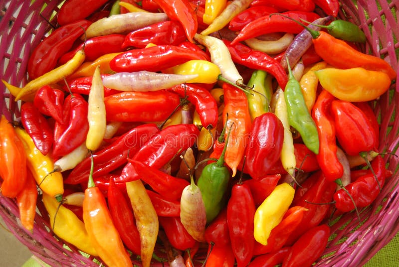 Peruvian Hot Chili Peppers Background Stock Image - Image of spice ...