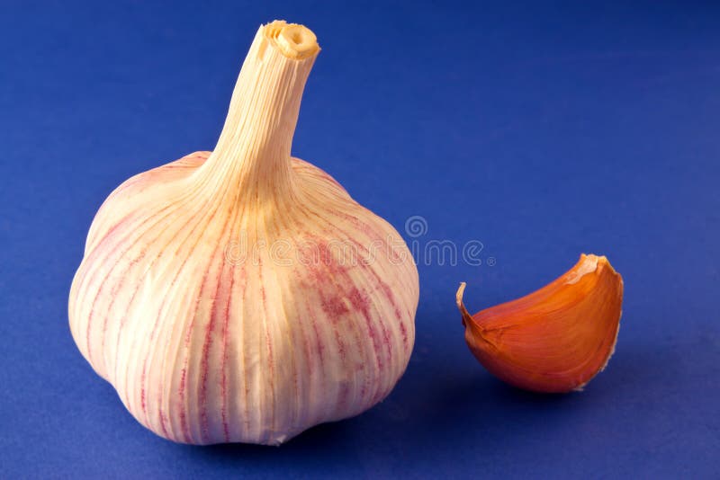 Ajo en azul imagen de archivo. Imagen de copia, comida - 13858513