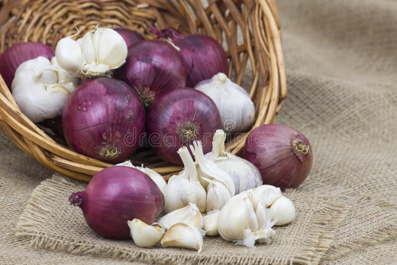 Cebolla, ajo y especias foto de archivo. Imagen de primer - 18522130