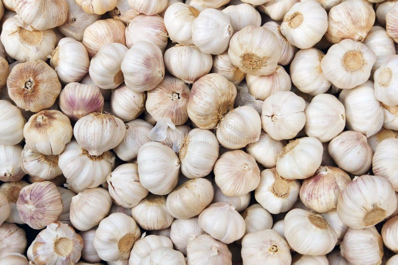 Ajos foto de archivo. Imagen de salud, especia, blanco - 30755550