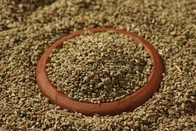Ajwine or Carom Seeds is an Uncommon Spice Used for Flavouring Stock ...