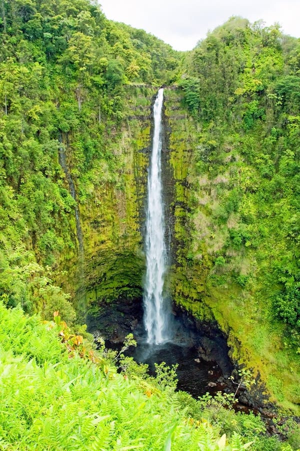 Akaka Falls on the Big Island of Hawaii in a Tropical Rain Fores Stock ...
