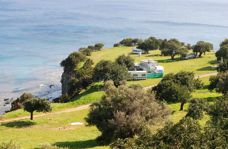 Akamas Peninsula stock image. Image of cyprus, tree, peninsula - 13680737