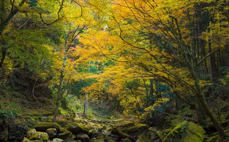 Akame-Nebenfluss in Nabari, Mie, Japan Stockbild - Bild von beliebt ...