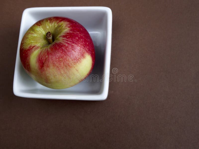 Akane Apples Growing on Tree Stock Image - Image of lifestyle ...