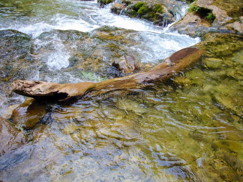The River of Water Sources Oum Rabie Stock Image - Image of natural ...