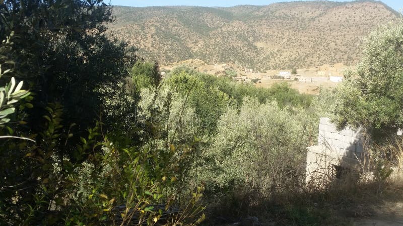 Akhna stock image. Image of oghda, akhna, gvvv - 90944301