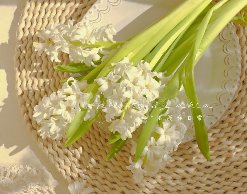 Akia floral design stock photo. Image of flower, petal - 251151634