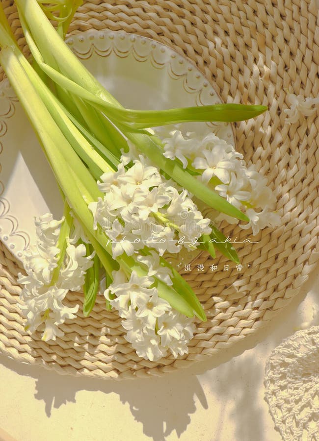 Akia floral design stock photo. Image of flowers, leaf - 251151636