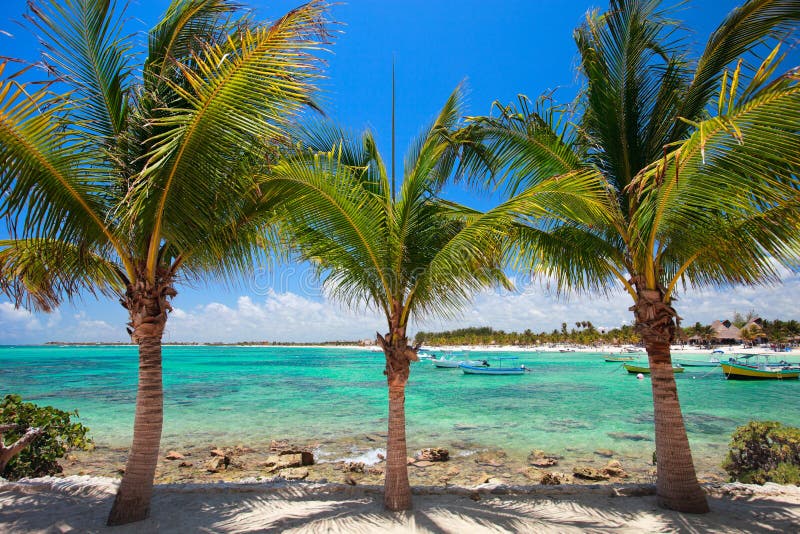 Akumal Strand in Mexiko stockbild. Bild von strand, draussen - 21909363