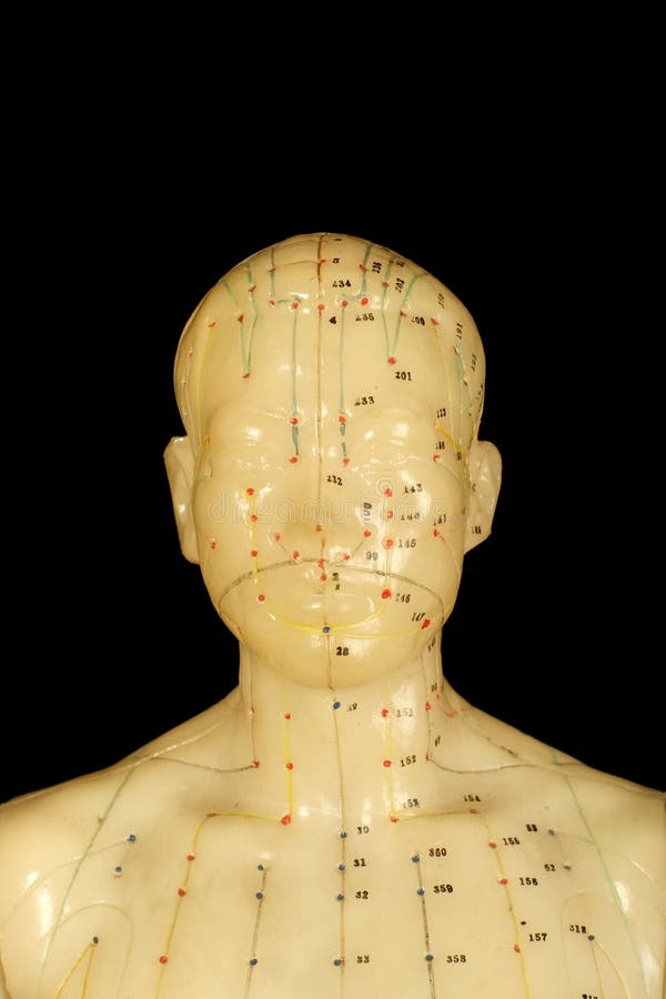 Akupunkturpunkter arkivfoto. Bild av cirkulation, läkarundersökning ...