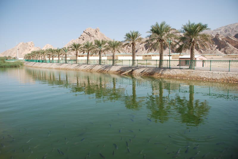 Al Ain City stock photo. Image of masjid, muslim, quran - 3641504