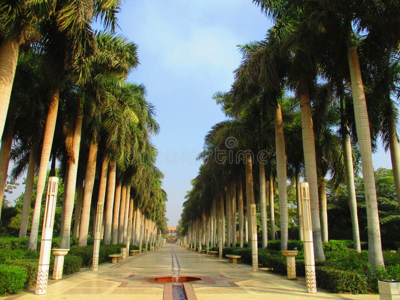 Al Azhar Park stock photo. Image of nature, palm, water - 224688772
