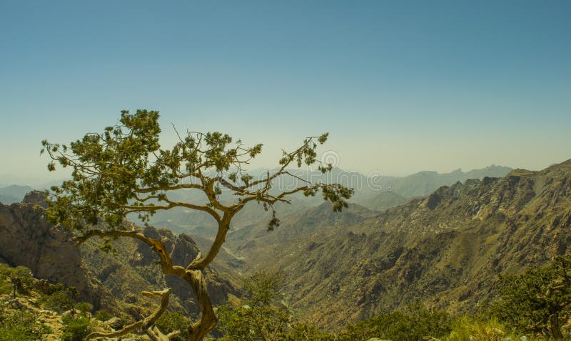 1,374 Saudi Desert Landmark Stock Photos - Free & Royalty-Free Stock ...