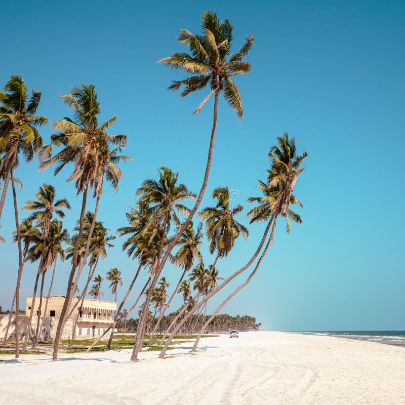 Al Haffa Beach at Salalah, Sultanate of Oman. Stock Photo - Image of ...