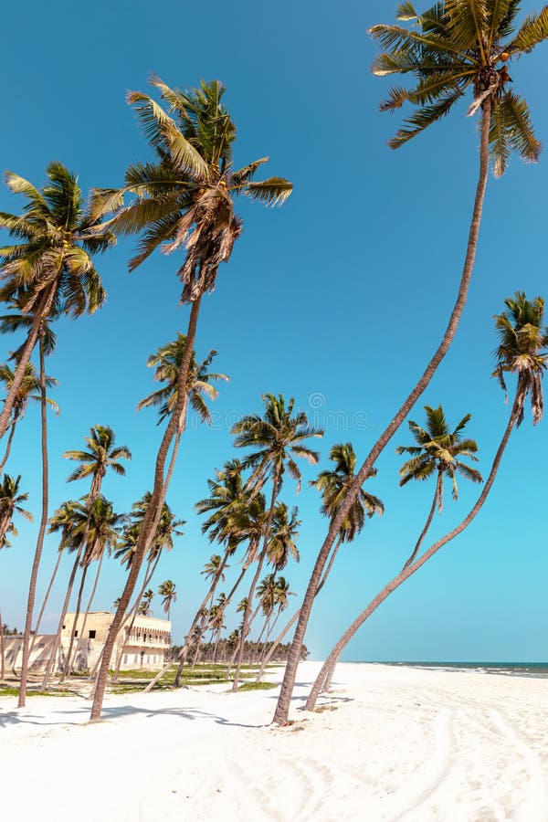Al Haffa Beach at Salalah, Sultanate of Oman. Stock Photo - Image of ...